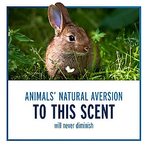 Liquid Fence Deer And Rabbit Repellent Concentrate 32 Ounces, Hose-End Sprayer