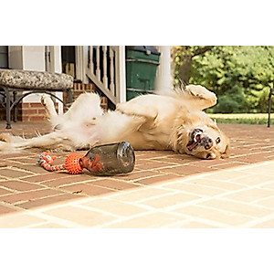 PetSafe Medium/Large Sportsmen Tug A Jug Pet Chew Toy