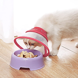 Vivifying Pet Cone for Small Dogs and Cats, Adjustable 5.7-8 Inches Recovery Cone, Lightweight Elizabethan Collar for Cats, Puppy and Small Dogs (Red)