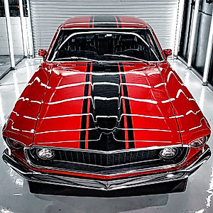 GOSLARLIT LED Tunnel Lighting, Car Detailing Tunnel for Car Care,Inflatable 6500k,110-120lm/v