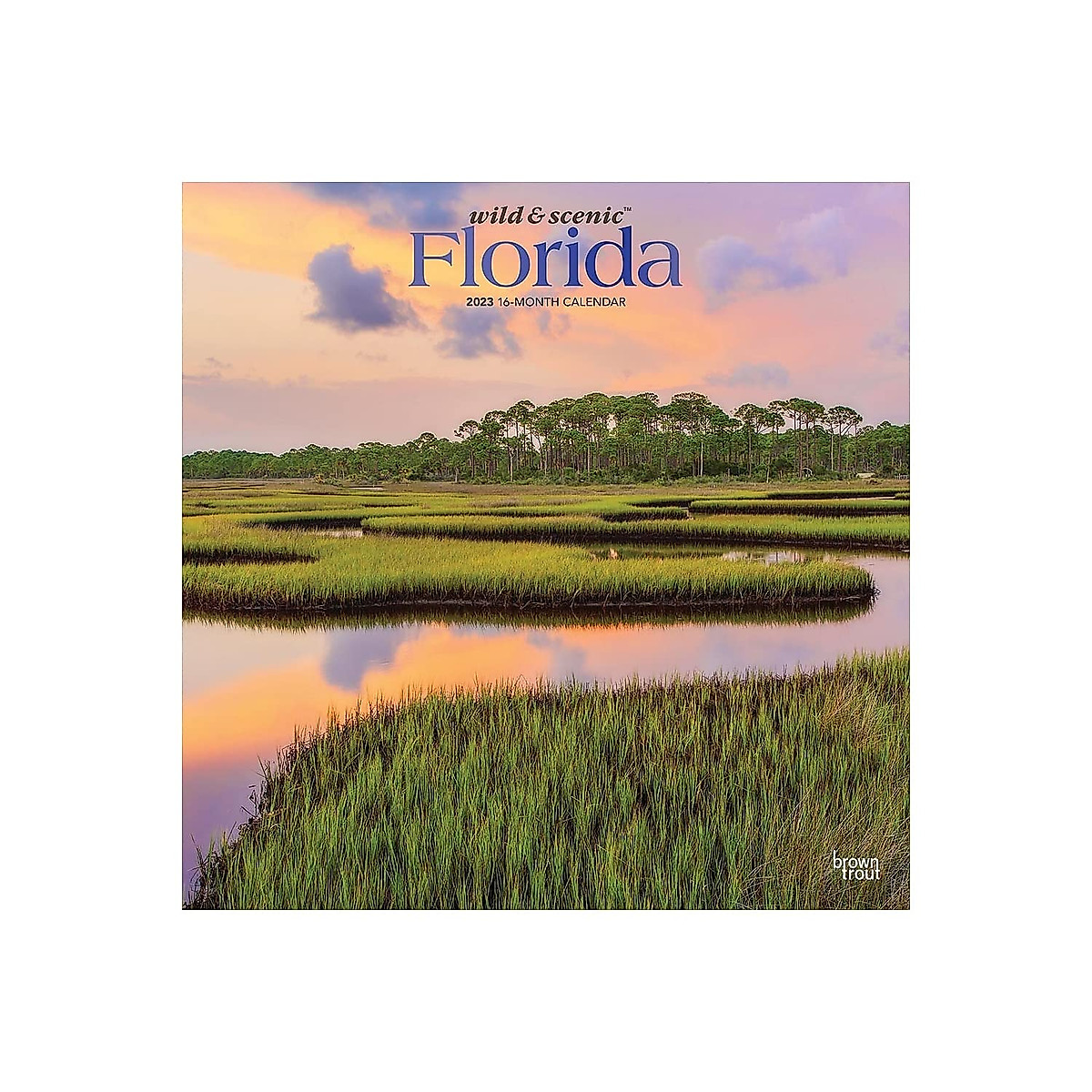 Florida Wild & Scenic | 2023 12 x 24 Inch Monthly Square Wall Calendar | Foil Stamped Cover | BrownTrout | USA United States of America Southeast State Nature