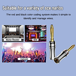 Viborg Audiocrast HiFi Speaker Banana Plugs Gold Dual Screws Locking Banana Connector Terminals 8 PCs (UST)