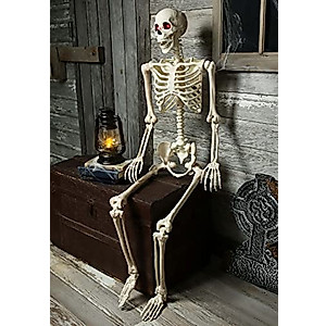 Crazy Bonez Talking Pose-N-Stay Skeleton