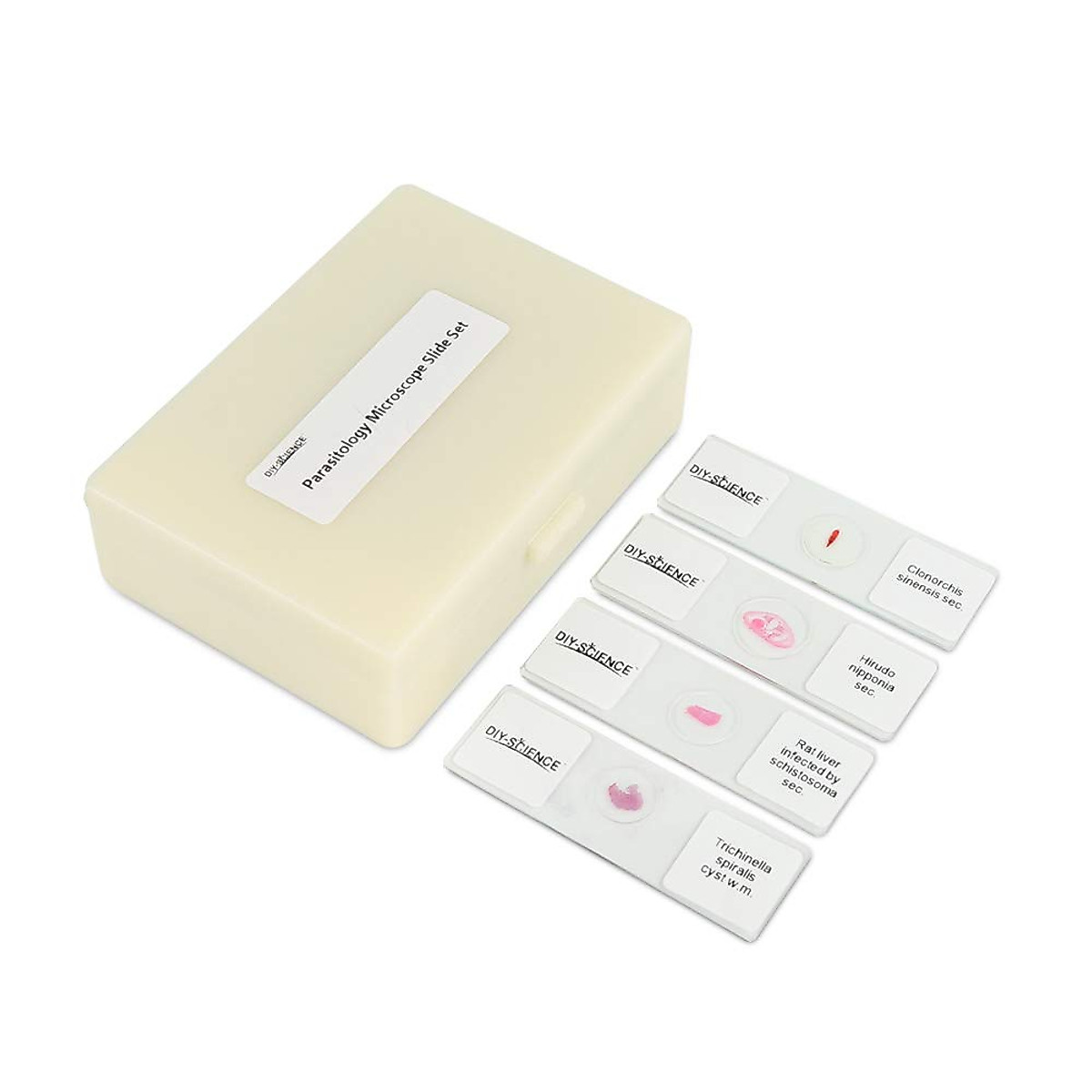 Prepared Parasitology Microscope Slide Set, Excellent 30pcs Slides Resource for Instruction at The College Level (Parasitology)