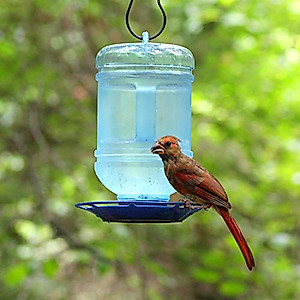 Perky-Pet 780 Outdoor Hanging Water Cooler Bird Waterer and Dispenser,Blue, 1.5 Qt Capacity