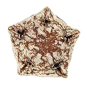 Pssopp Bird Chewing Blocks Toy,Decorative Dried Nut Wood Bird Block Toys Decorative Five Pointed Bird Toy for Bird Supplies Hamsters Totoros Rabbits