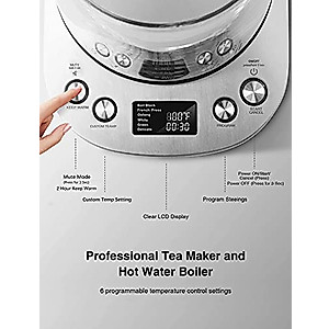 Electric Tea Kettle, 1.7L Variable Temperature Electric Kettle, Fast Boil Glass Water Kettle with 2Hr Keep Warm Function, Premium Stainless Steel, Boil Dry Protection, 1200W