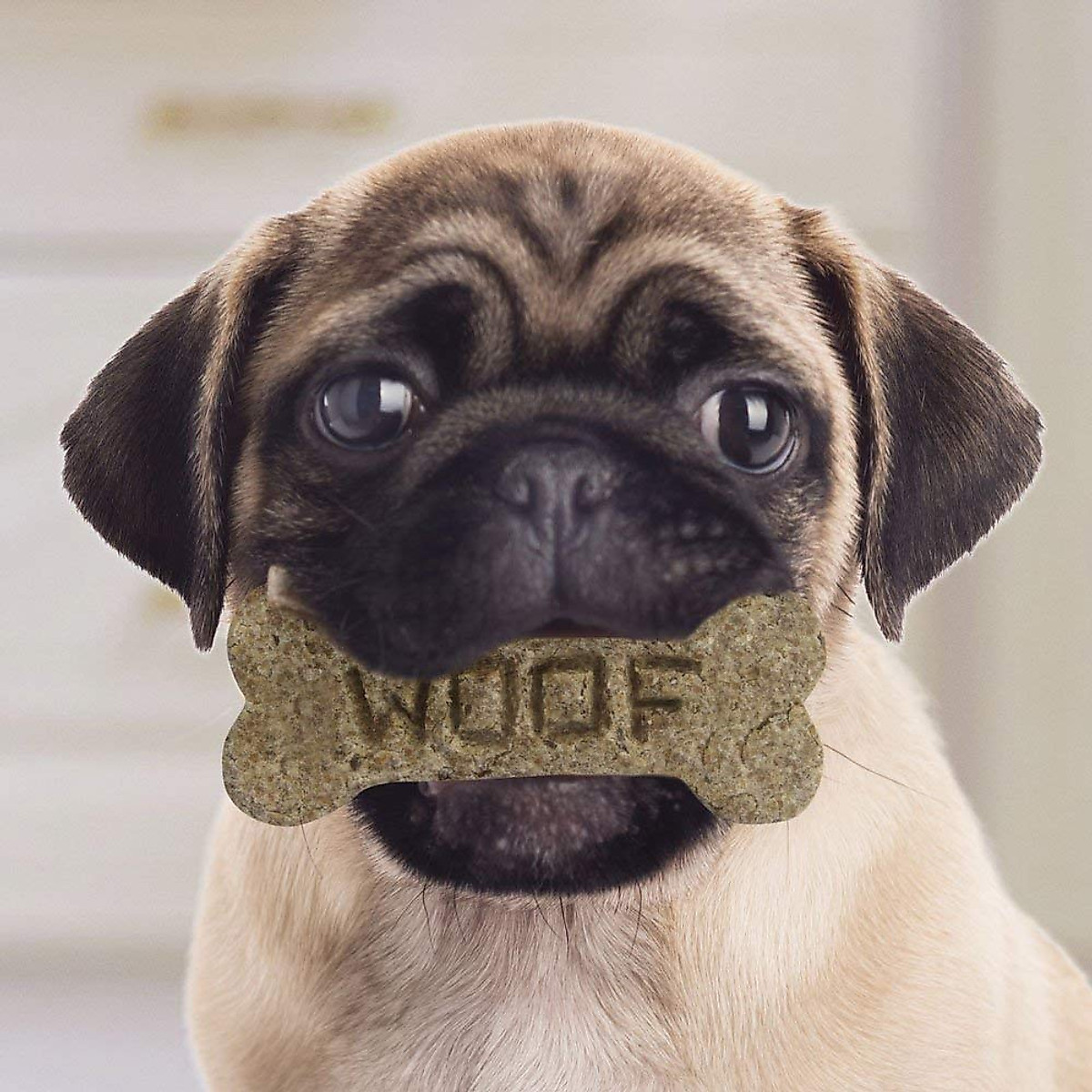 Ann Clark Cookie Cutters Extra Large Dog Bone Cookie Cutter, 5"