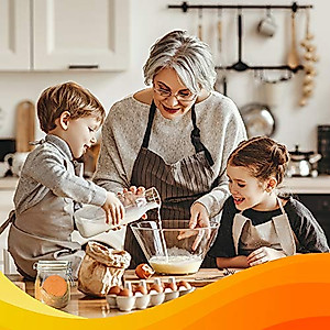 Enolvo Brown Sugar Keeper Bee - Terra Cotta Brown Sugar Saver, Brown Sugar Disc to Maintain Food Moisture, Brown Sugar Softener Stone, Humidifying Hydrostone (Orange Box)