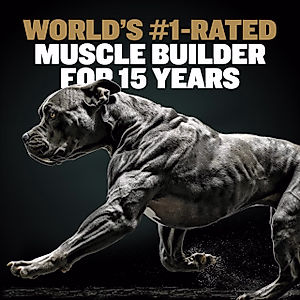 Bully Max Protein Powder for Dogs - Supports Muscle Building & Muscle Gain for Dogs of All Ages - 368 Grams