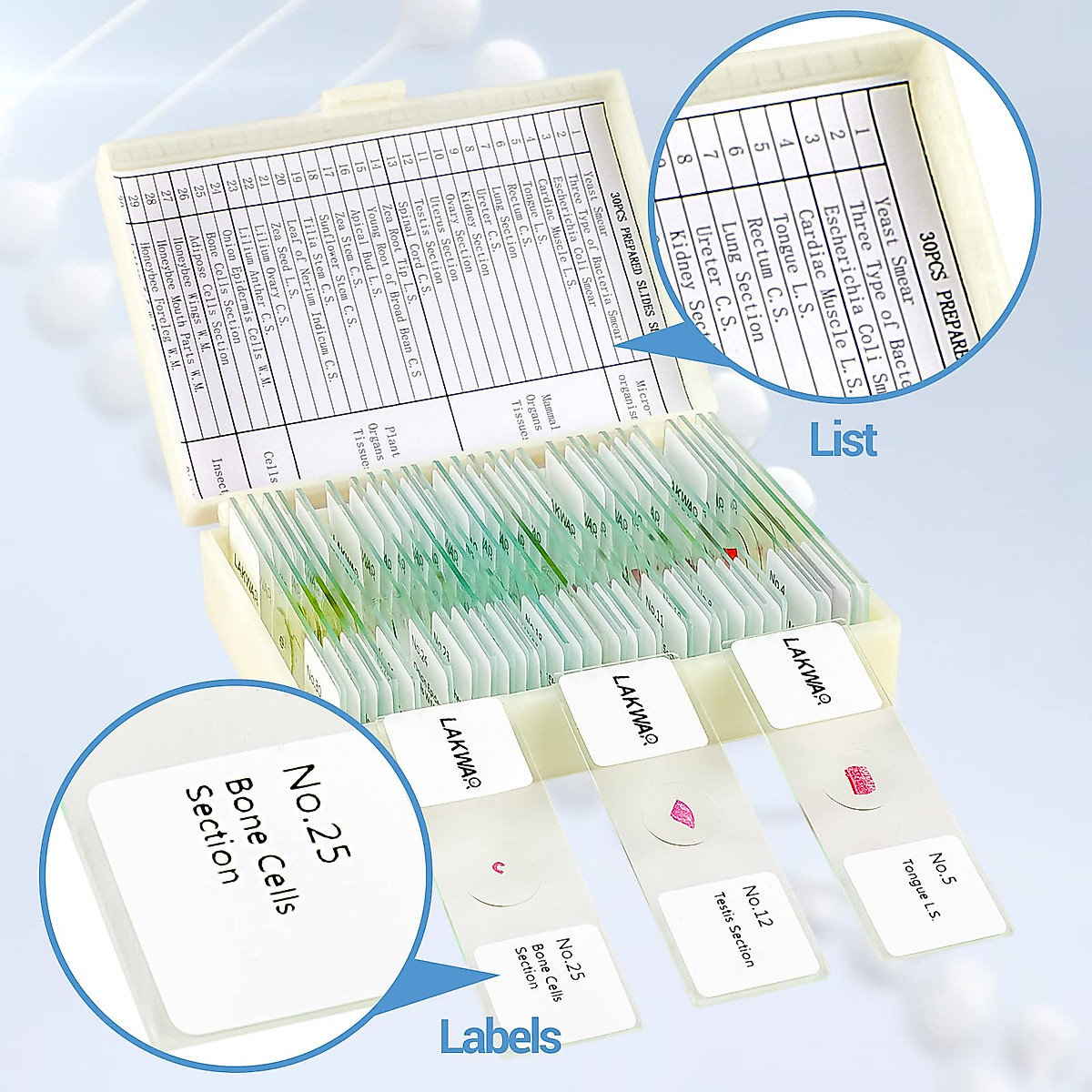 30 Microscope Slides with Specimens for Kids, Prepared Microscope Slides for Kids Microbiology, Glass Slides for Microscope, Biology Gifts for Adults Kids
