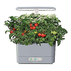 AeroGarden Harvest Indoor Hydroponic Herb Garden, Silver