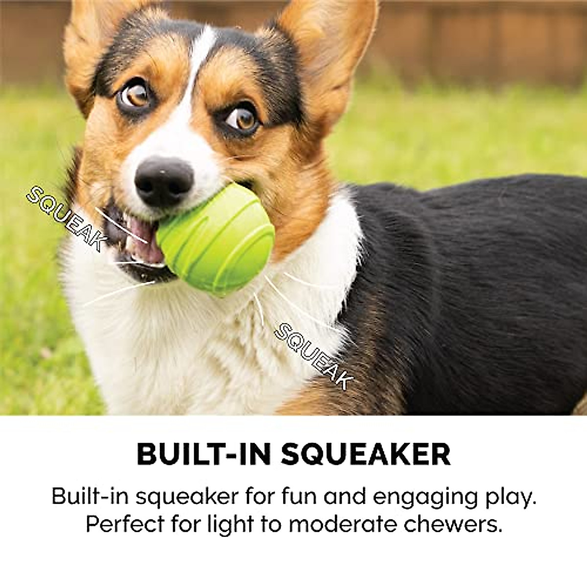 Furhaven 3-Pack Fetch 'N Fun TPR Squeaky Ball Dog Toy Set - Play Pack, Set of 3