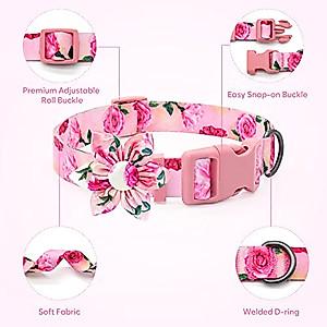 Pink Dog Collar Floral Girl Dog Collar with Rose Flower Bow Tie Dog Collar for Cute Girl Female Cats Dogs Spring Summer Season Dog Collar for Puppy Small Medium Large Dogs Best Gift for Your Furbaby