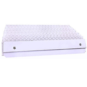 True Blue YRACFTAHEXM2 BAYFTAHEXM2 Replacement Filter for Trane/American Standard, 1 Count (Pack of 1)