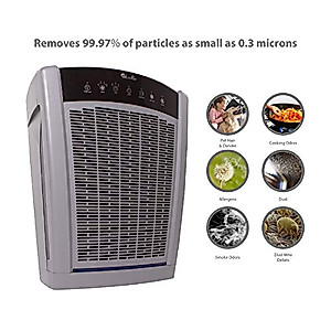 LivePure Bali Series Multi-Room Whole House Large Console Air Purifier, True HEPA Filter Captures Allergens, Smoke, Mold, Pollen, Dust Mites, Graphite