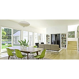 2xHome RayWire(Green) Dining Chair