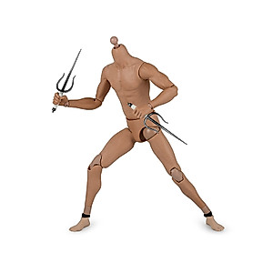 DS. DISTINCTIVE STYLE 1/6 Scale Male Body Narrow Shoulder Standard 12 Inch Action Figure with 8 Interchangeable Hands for Most Head Sculpt