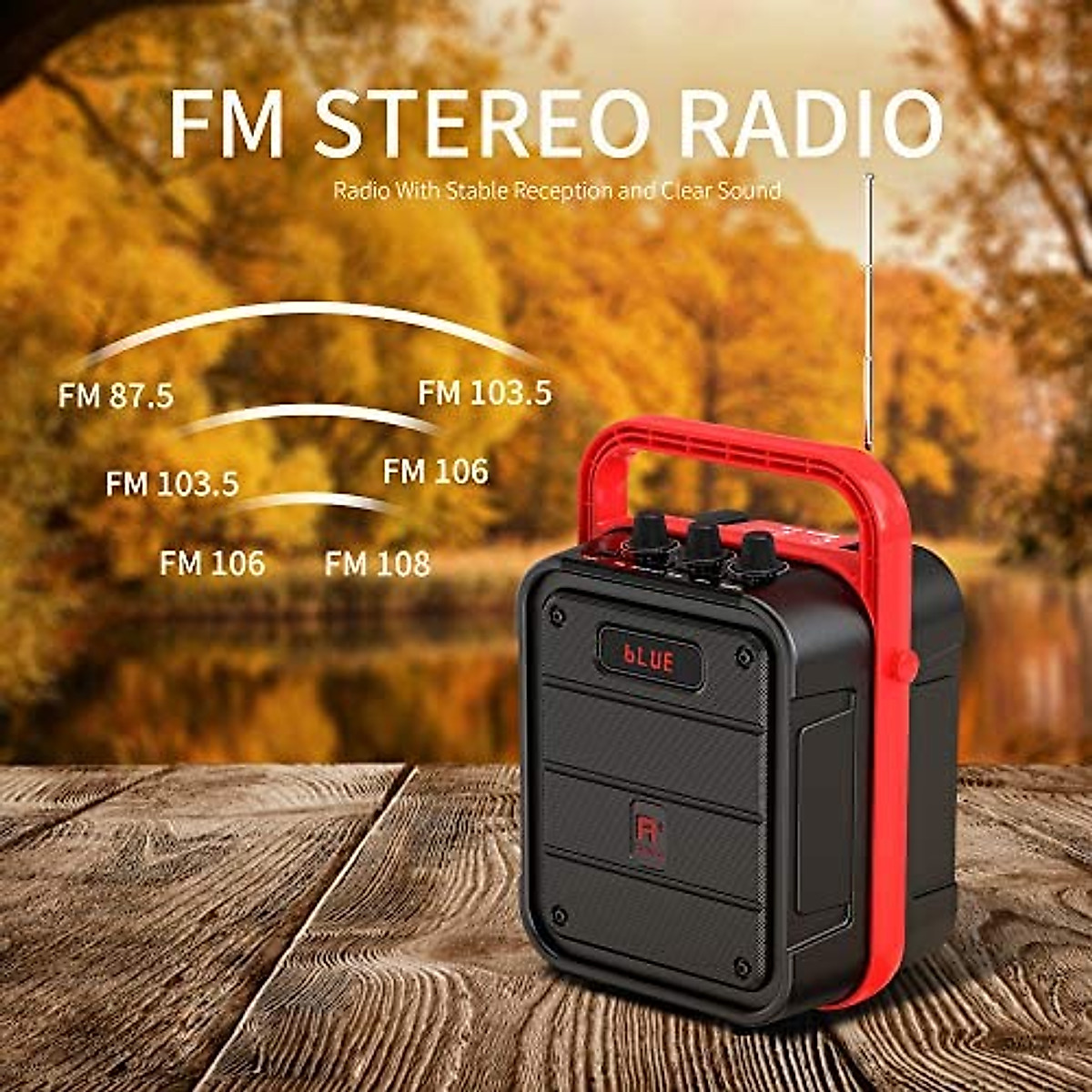 Shinco Bluetooth Speaker with Microphone, Portable Karaoke Machine with Remote Control, Audio Recording, FM Radio, Perfect for Kids