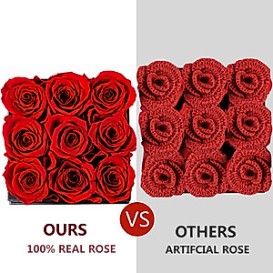 YFYS Forever Rose Flowers for Delivery Prime - 9pcs Preserved Fresh Roses, Genuine Roses That Last for Years, for Birthday Gifts for Women, Valentines Day, and Mother's Day
