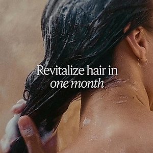 L'OCCITANE Intensive Repair Shampoo 16.9 fl. oz.: Silicone-Free Shampoo, Help Revitalize Dry, Damaged, Color-Treated Hair, Vegan