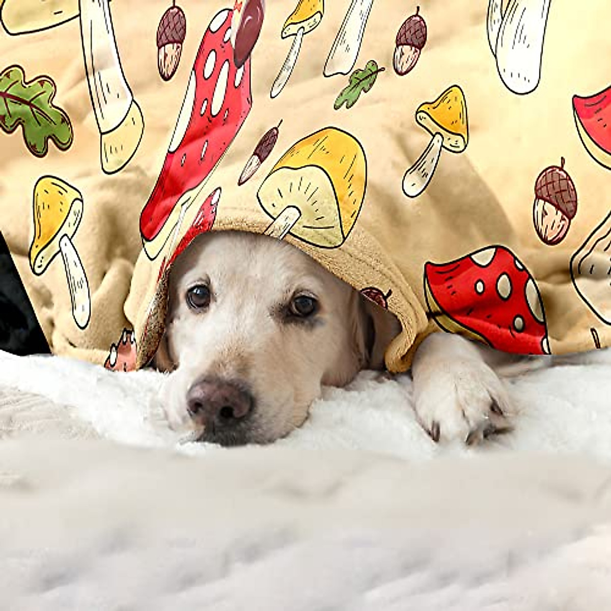 Mushroom Fleece Blanket Throw Blanket for Couch Soft Cozy Fuzzy Plush Bed Blankets & Throws Cute Decor Gifts for Kids Adults Christmas,60"X50",Mushrooms Snail Nut Chestnut Pattern