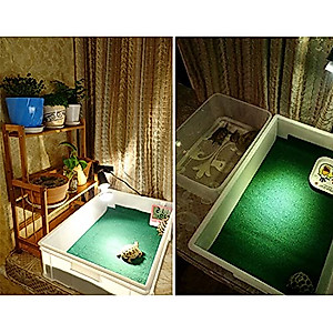 Mechpia 59" x 20" Reptile Carpet, Terrarium Extra Large Mat Liner Bedding Reptile Substrate Supplies for Bearded Dragon Lizard Leopard Gecko Snake Tortoise (Green)