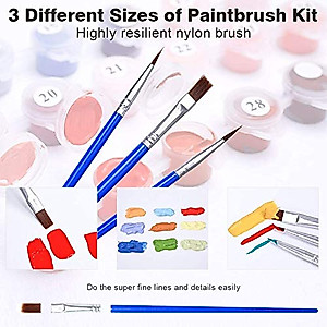 Tookeen Paint by Numbers Kits for Childrens and Adult Beginners - Color Painting DIY Craft Kits - 20x16 Inch Acrylic Oil Painting On Canvas- Painting Set for Boy, Girl, Colorful Dolphin