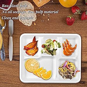 Vmiapxo 50 Pack Natural Bagasse Fiber Paper Food Trays,10"x 8",5 Compartment Dinner Tray School Lunch Divided Paper Plates Holders Buffet Party Serving Supplies (White)