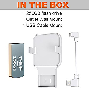 256GB Blink USB Flash Drive for Local Video Storage and The Outlet Mount for Blink Sync Module 2(Blink Add-On Sync Module 2 Itself is NOT Included)
