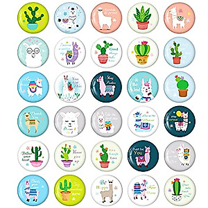 MORCART 30PCS Inspirational Magnets, Llama Cactus Motivational Magnets for Refrigerator Cute Animal Magnets for Fridge Classroom Whiteboard Locker Office