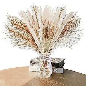 Natural Dried Pampas Grass Decor: 80 Pcs 17" Small Fluffy White Pampas Stems & Beige Reed Grass & Dry Wheat Bundle & Bunny Tail Grass Pampas Bouquet