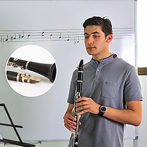 Pimoys 10 Pack Traditional Bb Clarinet Reeds with Plastic Box, Strength 2.5