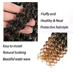 8 Packs 18 Inch Passion Twist Crochet Hair For Black Women Water Wave Crochet Braiding Hair Extensions (1B/27)