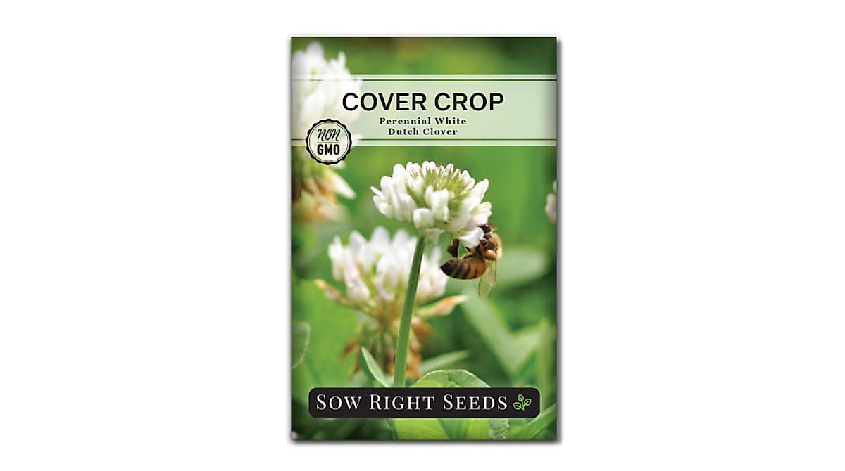 White Dutch Clover Seeds for Healthy Soil | Sow Right Seeds