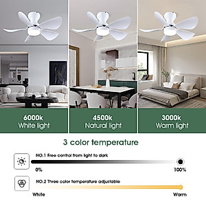 Kviflon Ceiling Fans with Lights and Remote/APP Control, 30 inch Low Profile Ceiling Fans with 5 Reversible Blades 3 Colors Dimmable 6 Speeds Ceiling Fan for Bedroom Kitchen Dining Room, White