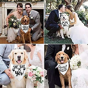 2PCS White My Humans are Getting Married She Said Yes Dog Wedding Engagement Bandana, LMSHOWOWO Dog Bandana Wedding Engagement Announcement Gifts Pet Scarf Accessories for Dog Lovers, Bridal Shower