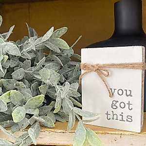 Mini Jute Rope Block Sign (You Got This)