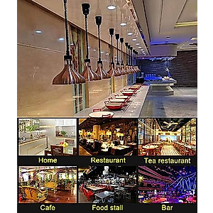 LINKANRUO Food Heat Lamps Food Warmer for Parties, Retractable Food Heating Lamp, Heat Lamp Food Warmer for Food 250W Light Bulbs Restaurant Equipment, 2pcs Lamps(A)