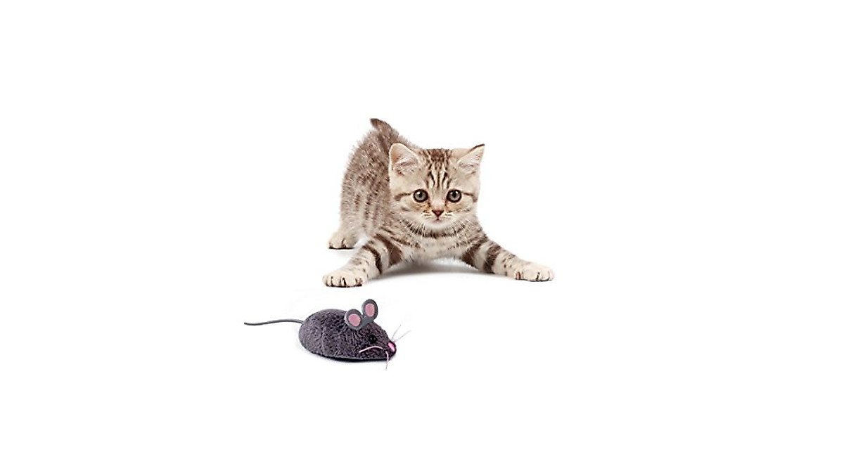 HEXBUG Mouse Robotic Cat Toy - Interactive Grey Cat Toy for All Breeds