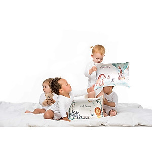 Toddler Pillowcase 100% Silk - Kids Pillow Cover 13x18 (White and Pastels)