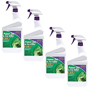 Bonine Store Bonide-5066-4/pack
