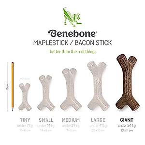 Benebone Bacon Stick Durable Dog Chew Toy for Aggressive Chewers, Real Bacon, Made in USA, Giant