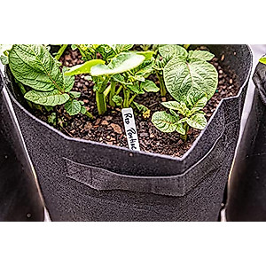 Gardzen 6 Pack BPA-Free 10 Gallon Vegetable Grow Bags with Access Flap and Handles, Suitable for Planting Potato, Taro, Beets, Carrots, Onions, Peanut
