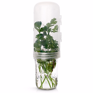 The Herb Angel Mason Jar Herb Lid - Fresh Herb Keeper - Herb Saver Pod for Cilantro, Parsley, Basil, Chives, Mint and More - Herb Storage Container for Refrigerator