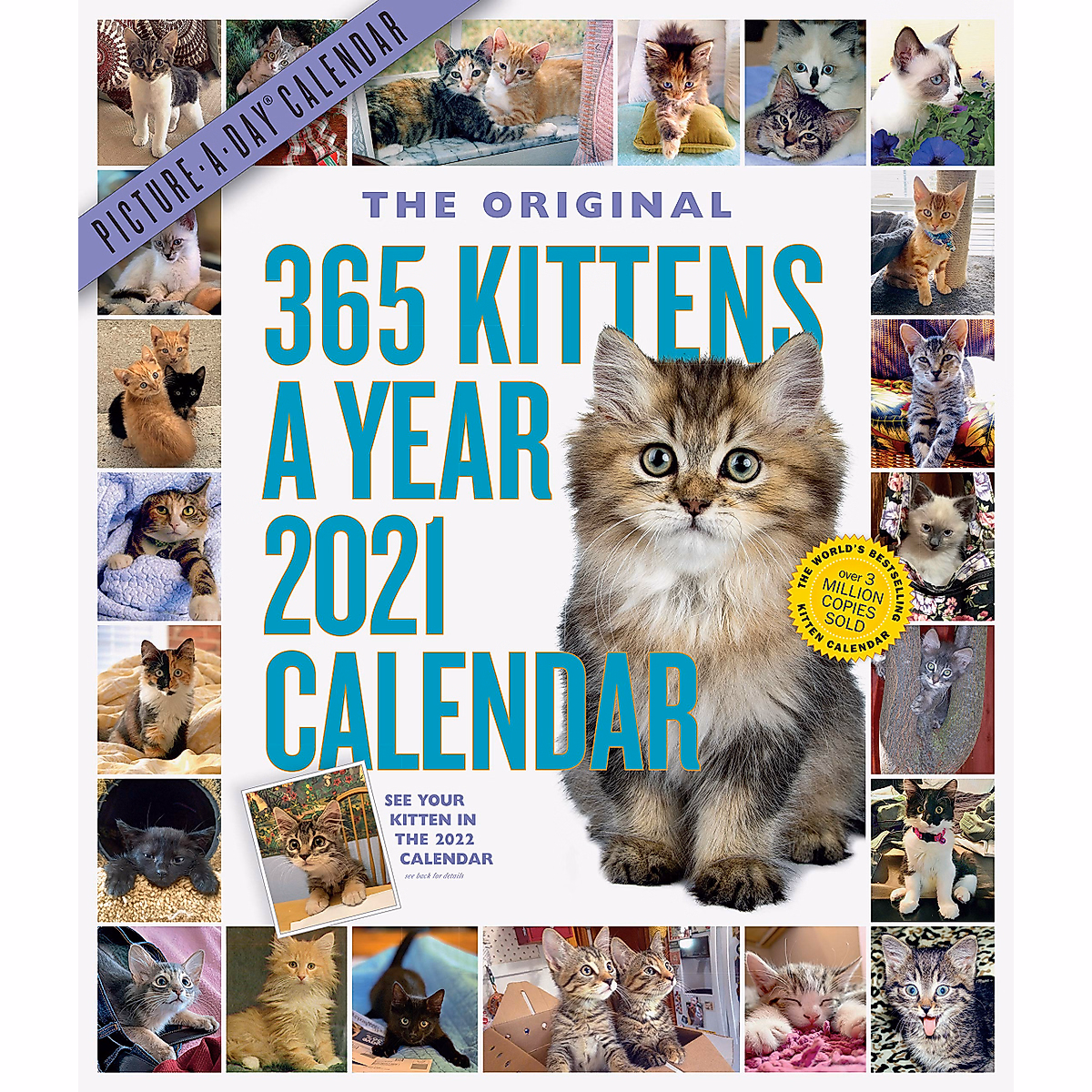 365 Kittens-A-Year Picture-A-Day Wall Calendar 2021