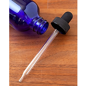 JUVITUS 4 oz / 120 ml Cobalt Blue Glass Boston Round Bottle with Black Dropper (2 Pack) + Clear Travel Bag