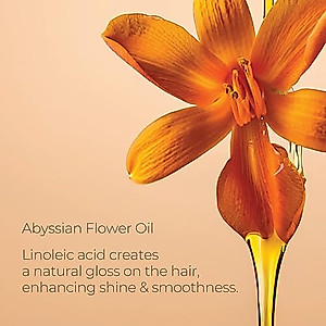 L'ANZA Keratin Healing Oil Hair Treatment, Hair Oil Revives & Nourishes Dry Damaged Hair & Scalp, Sulfate Free with Phyto IV Complex, Cruelty Free Volumizing Hair Care with UV Protection (1.7 Fl Oz)