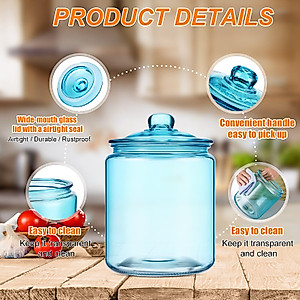 Tioncy 2 Pcs 1 Gallon Cookie Jar Glass Jars Apothecary Storage Glass Containers with Lids Large Clear Airtight Glass Canisters with Labels for Kitchen Laundry for Cookie Candy Sugar Flour (Blue)