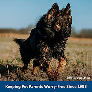 PetSafe YardMax Rechargeable In-Ground Pet Fence for Dogs and Cats – from the Parent Company of INVISIBLE FENCE Brand – Underground Pet Barrier, Multiple Wire Gauge & Indoor or Outdoor Barrier Options